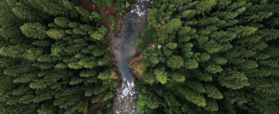 Taskforce on Nature-related Financial Disclosures Launches, Aims to Set ...