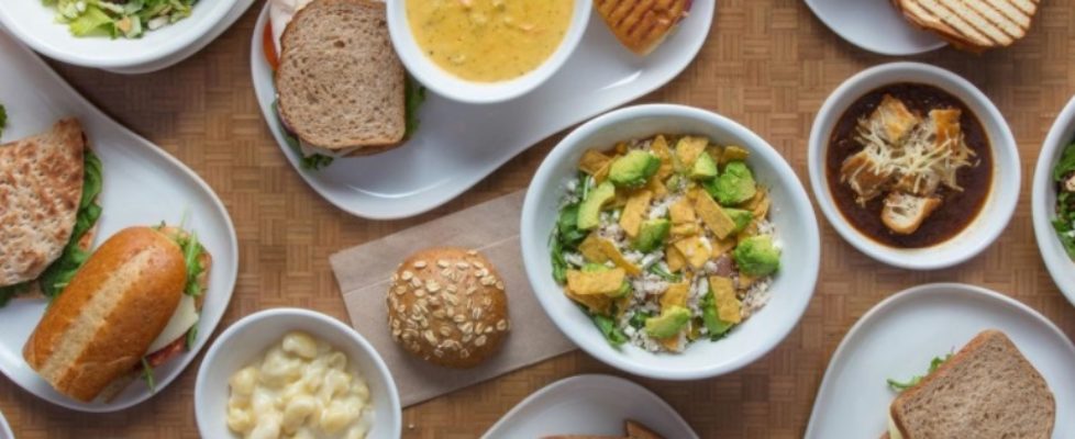 Panera Bread Targets Food Production Emissions in New Goal to Remove ...